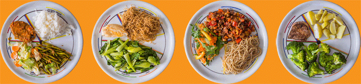 The Harvard Plate for Women: A Balanced Guide to Health and Wellness