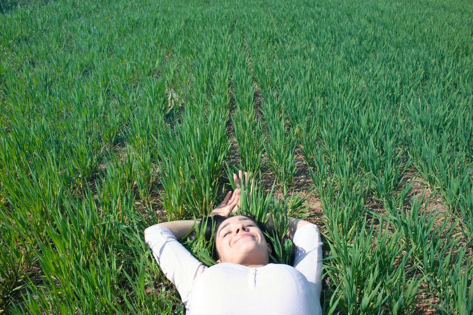 Discover the Benefits of Valerian Root for Sleep and Stress